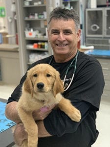 Our Veterinary Team in Tulsa, OK | Animal Emergency Center of Tulsa